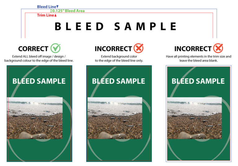 How To Set Up Margins and Bleed - Sure Print & Design